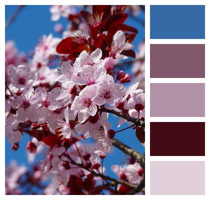 Hex Color Code Palette Colour Pick