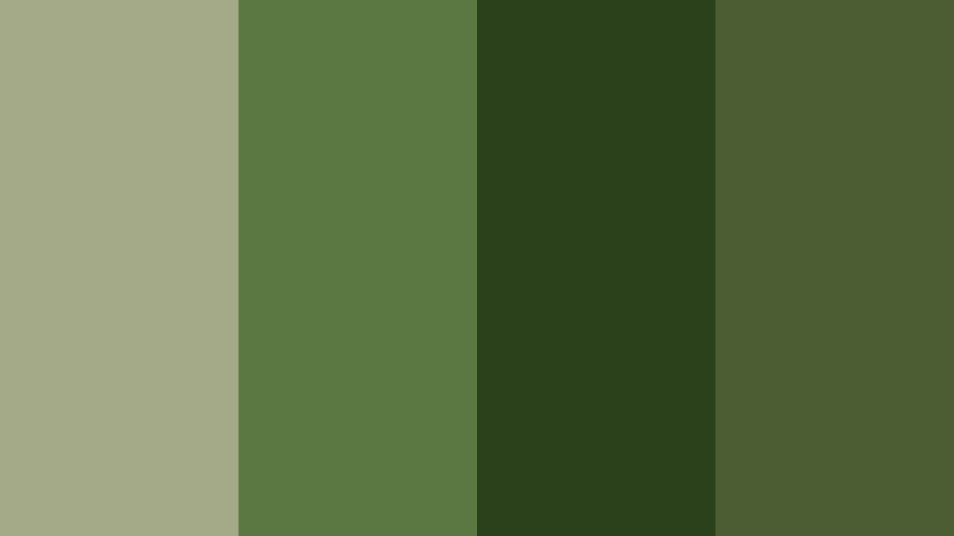 Indian Army Uniform Color Palette #A4AA88 #5B7742 #2B411C #4C5D34 Hex