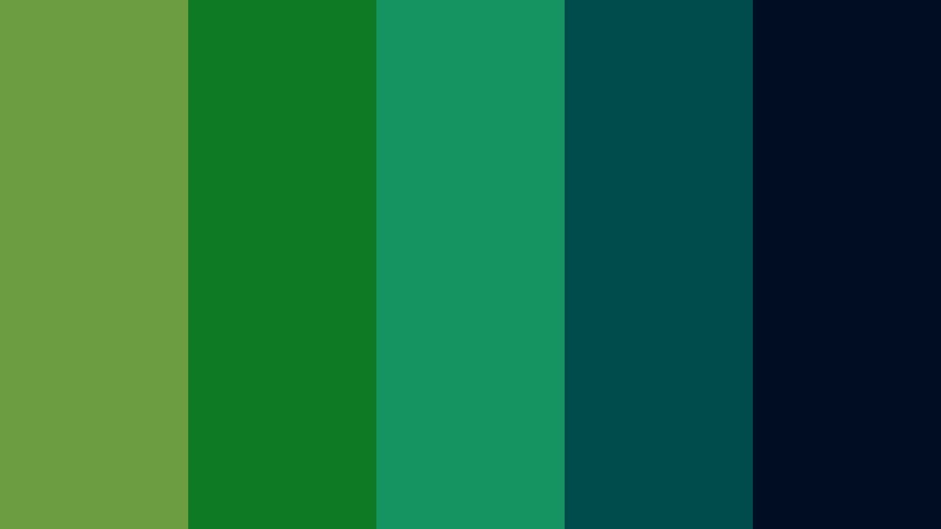 Kick Color Palette #6B9C3B #0F7A21 #16965F #004D4F #000D22 Hex