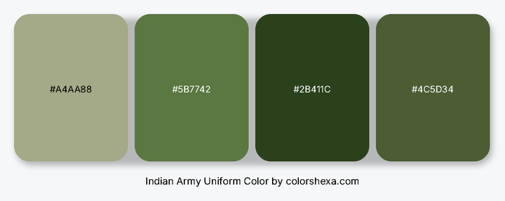 Indian Army Uniform Color Palette #A4AA88 #5B7742 #2B411C #4C5D34 Hex