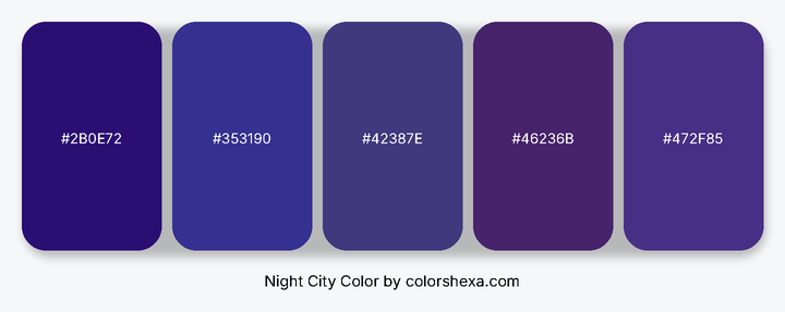 Night City Color Palette #2B0E72 #353190 #42387E #46236B #472F85 Hex