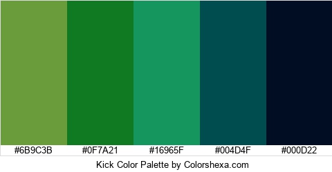 Kick Color Palette #6B9C3B #0F7A21 #16965F #004D4F #000D22 Hex